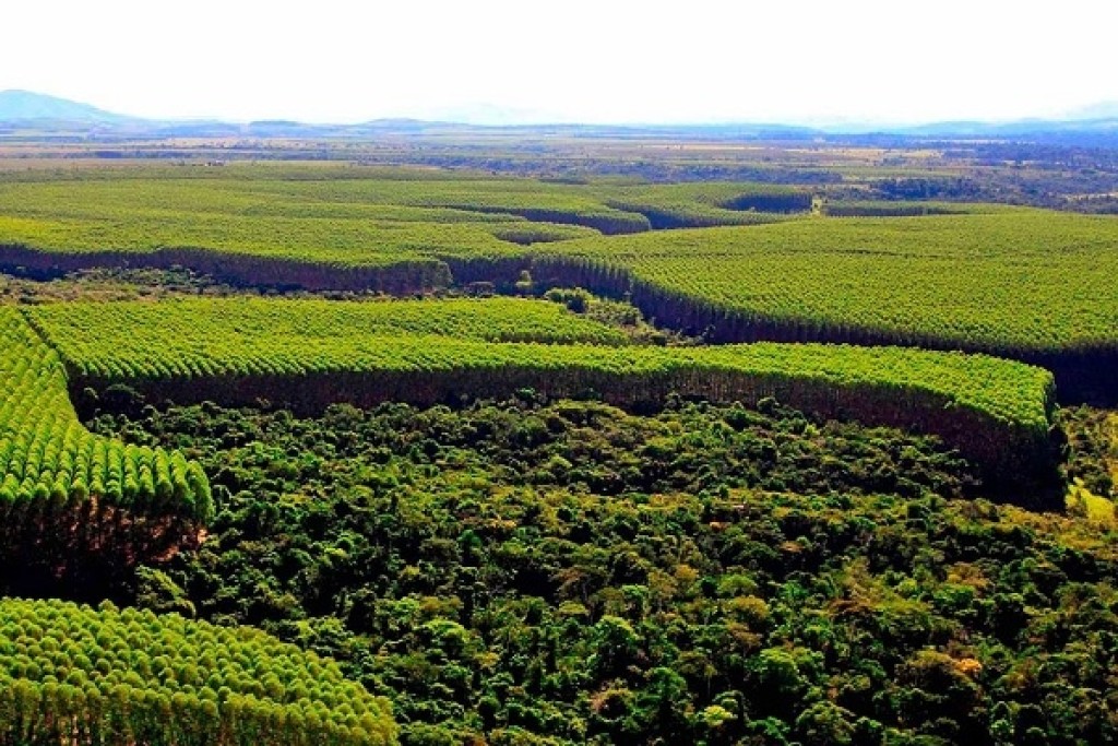 Nova Lei do Licenciamento Ambiental promete destravar investimentos e ...
